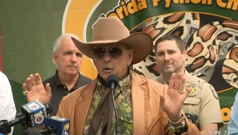 Florida Python Challenge | Is the Florida Python Challenge Unethical?